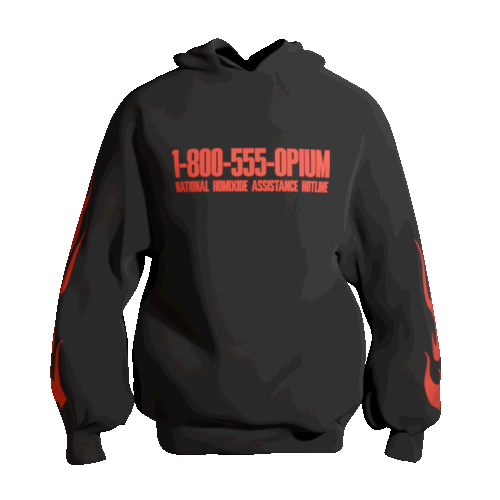 HL2 Flames Hoodie - HXG Official Store